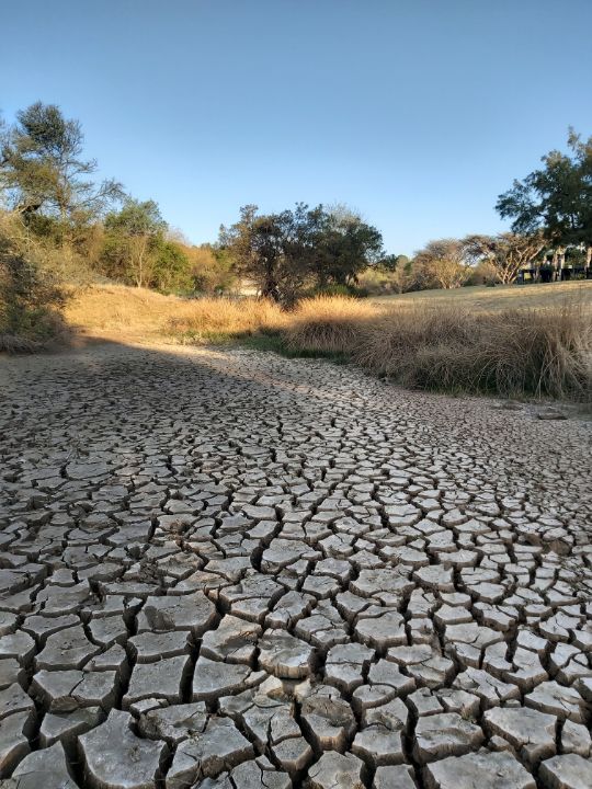 Dry Land - ReformX - Photography, Landscapes & Nature, Lakes & Ponds ...