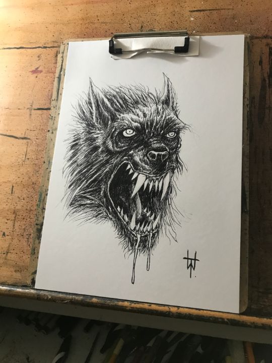 Werewolf Head Ink Sketch - Original Horror Art By Wayne Tully ...