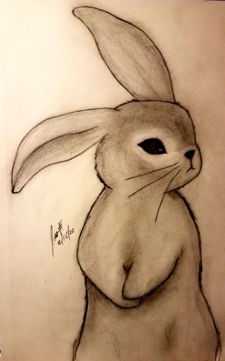 Coy Bunny - evaporationBoy (J.M.#) - Drawings & Illustration, Animals ...