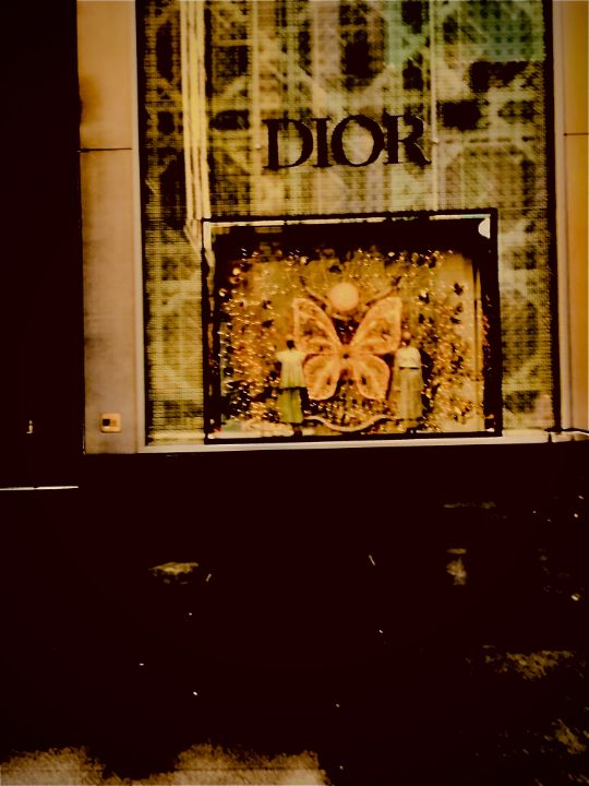 Dior butterfly smiles - Charlys Presley (Charlys Rasmussen ...
