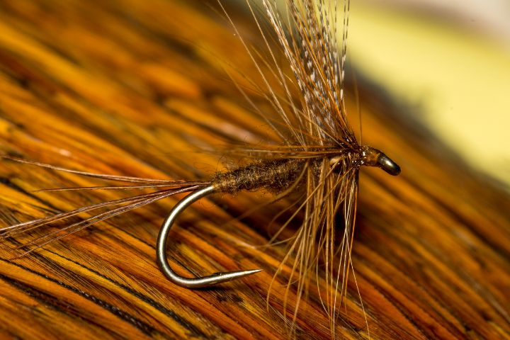 March Brown - Photography - Photography, Sports & Hobbies, Fishing - ArtPal