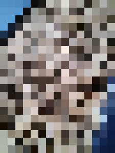 Hardwood Mosaic - Ross Simpson Fine Art Studio's - Crafts & Other Art ...