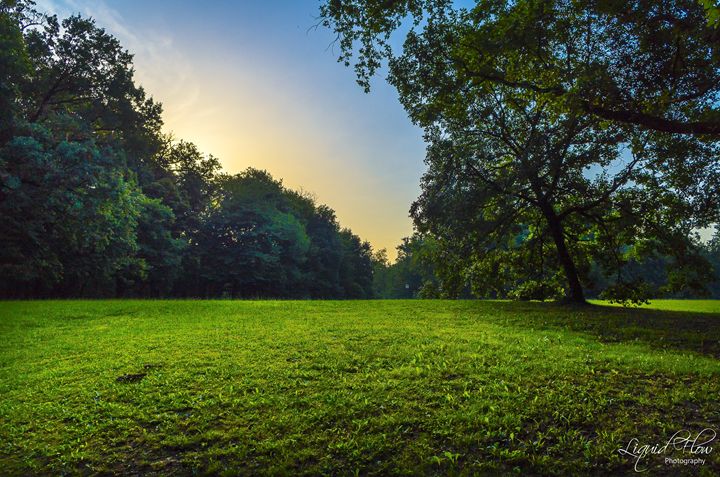 Liquid Flow Photography - Photography