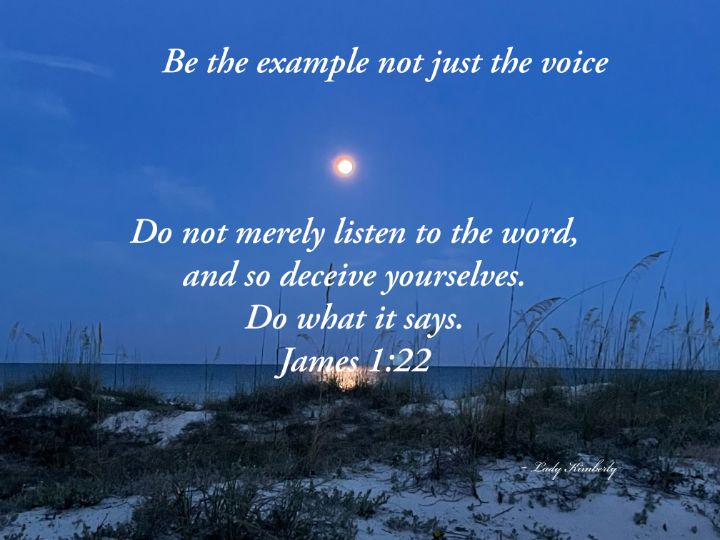 Be The Example Not Just The Voice - Author Lady Kimberly Art Gallery ...