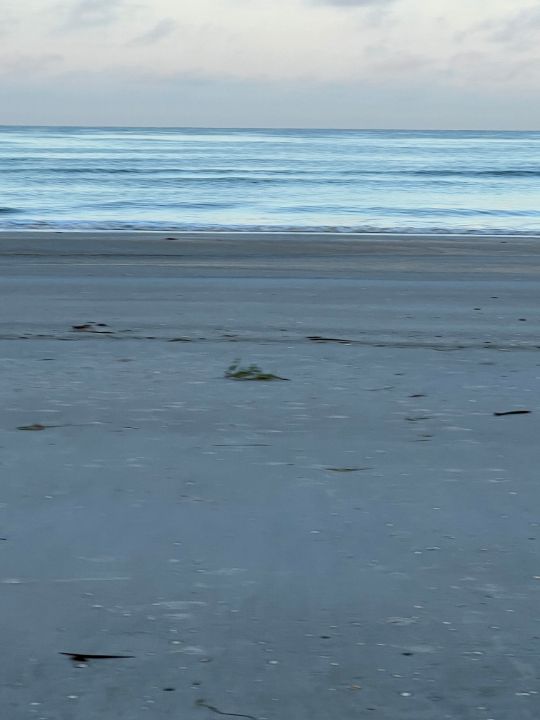 Early August Beach Walk - Author Lady Kimberly Art Gallery ...