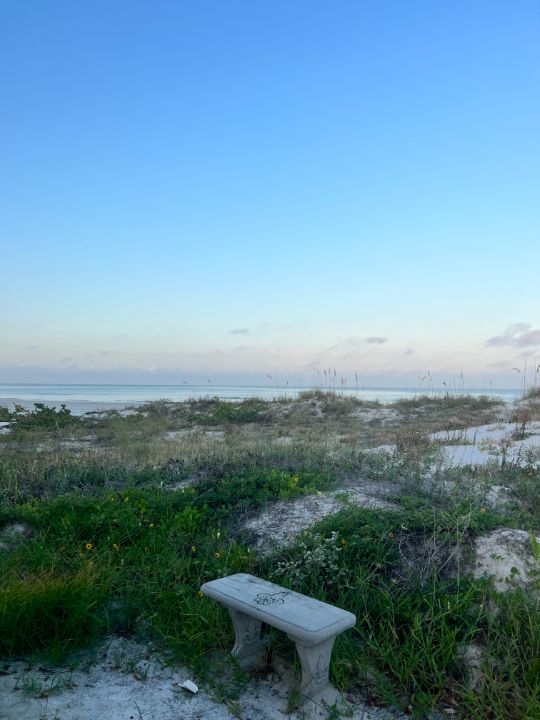 Early August Sunrise Morning - Author Lady Kimberly Art Gallery ...