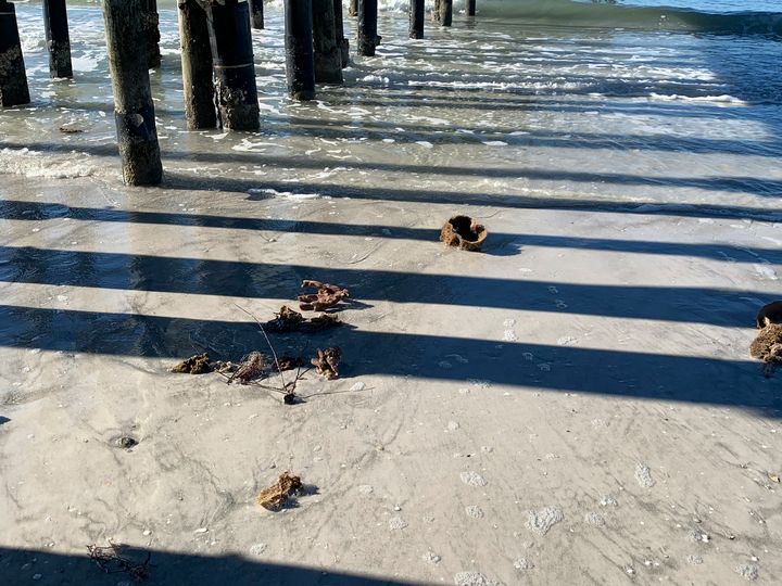 Pier Shadows - Author Lady Kimberly Art Gallery - Photography, Landscapes & Nature, Beach ...
