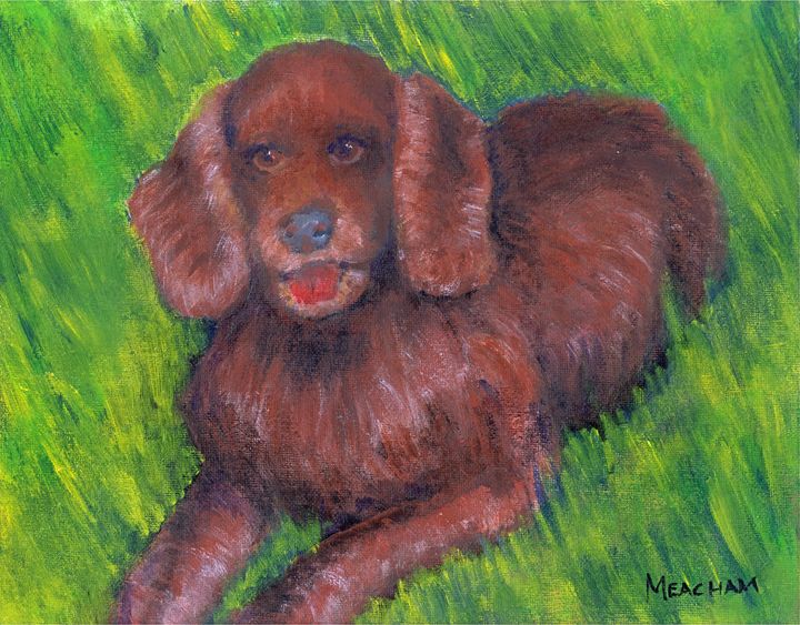 Charly - Barbara J Meacham - Paintings & Prints, Animals, Birds, & Fish ...