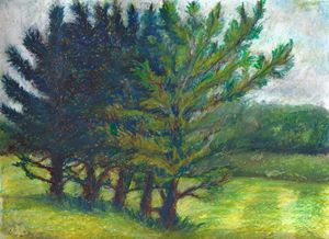 Barbara J Meacham - Paintings & Prints, Drawings & Illustration