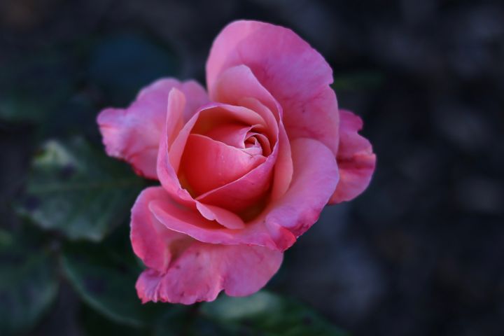 Beyond Captured Co - Paintings & Prints