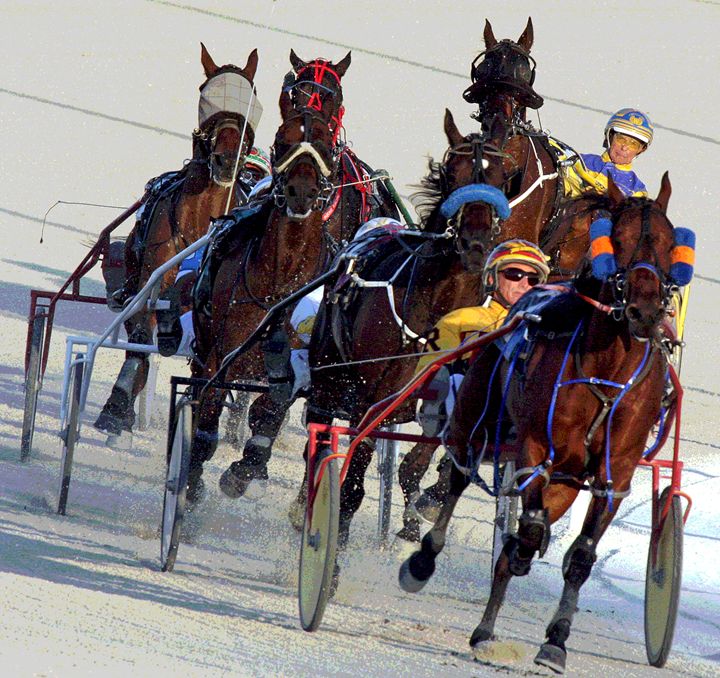 Harness Racing #12 - Larry Singer Fine Art Photography - Photography ...