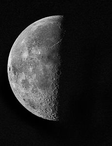 Larry Singer Fine Art Photography - Photography