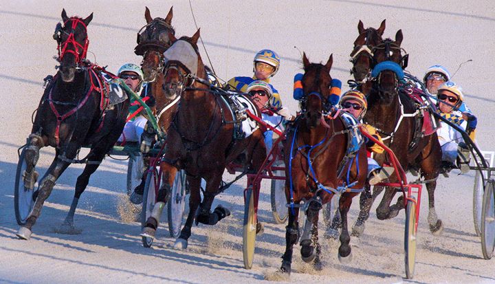 Harness Racing #11 - Larry Singer Fine Art Photography - Photography ...