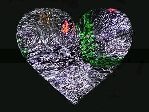 Larry Singer Fine Art Photography - Photography