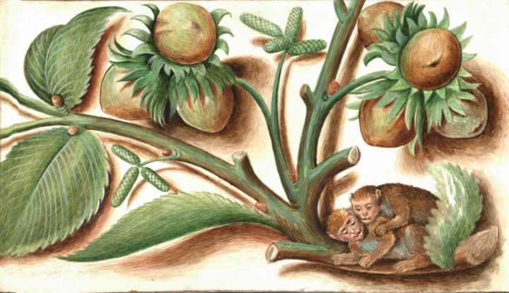 Avalena silvestris - PiranArtSpirit - Paintings & Prints, Animals ...