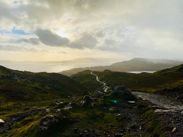 Syd - Paintings & Prints, Photography, Drawings & Illustration, Jewelry