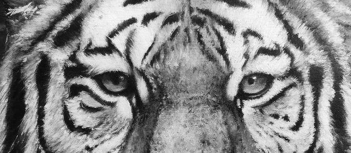 Tiger Mono - Stevies Art - Paintings & Prints, Animals, Birds, & Fish ...