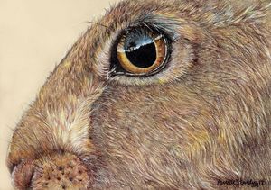 Annette Standing - Paintings & Prints