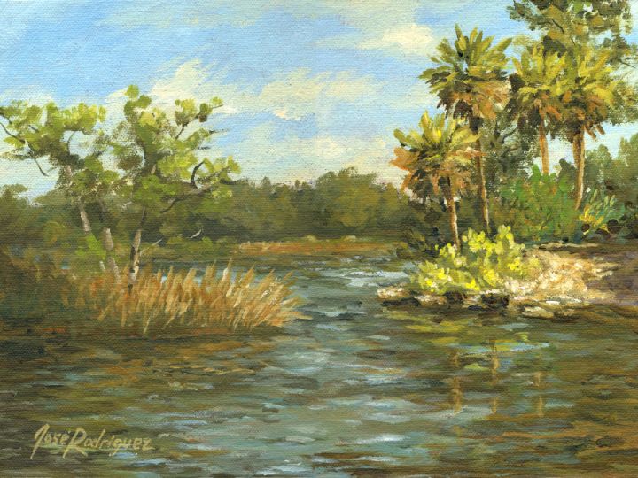 Tomoka State Park - Jose Rodriguez Fine Art & Photography - Paintings ...