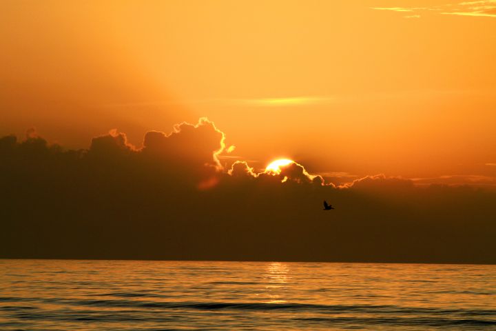 Golden Hour - Jose Rodriguez Art & Photography - Photography ...