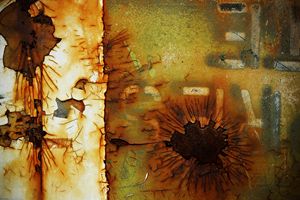 LEWhitney - Photography