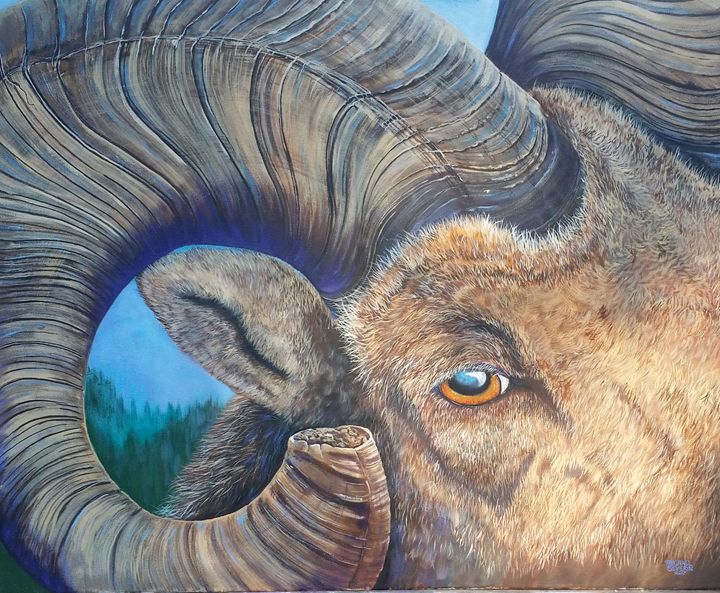 Eye of a ram - Visionquestnorthwest - Paintings & Prints, Animals ...