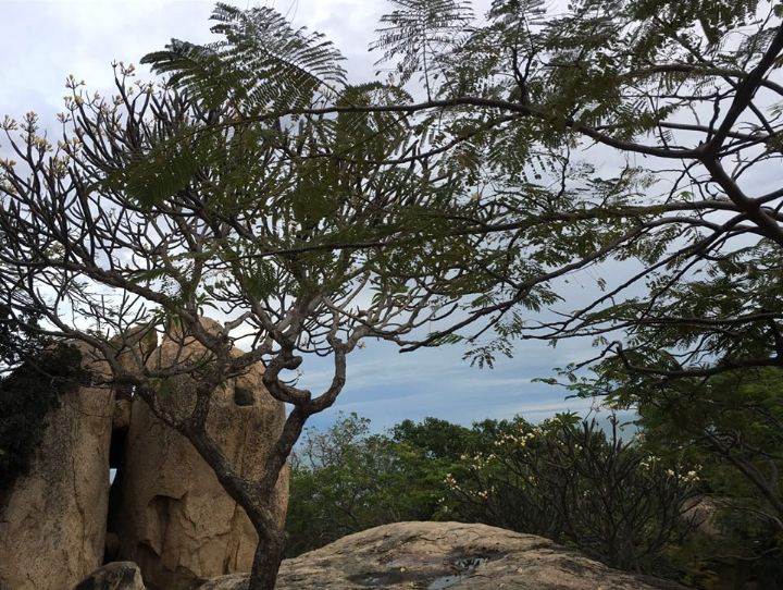Winter Beauty on Tung Tree Mountain - Liam Roberts - Photography ...