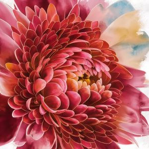 Coloring Flower Watercolor Painting - Deva-Glow - Digital Art & AI ...