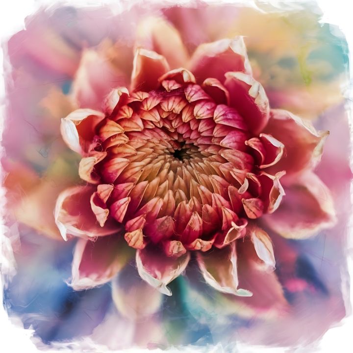 Coloring Flower Watercolor Painting - Deva-Glow - Digital Art & AI ...