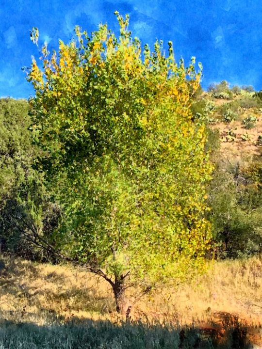 The tree - Art By Jennifer Thomas Spettigue - Paintings & Prints ...