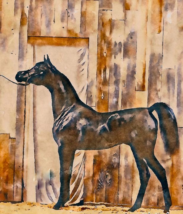 show ready - Art By Jennifer Thomas Spettigue - Paintings & Prints ...