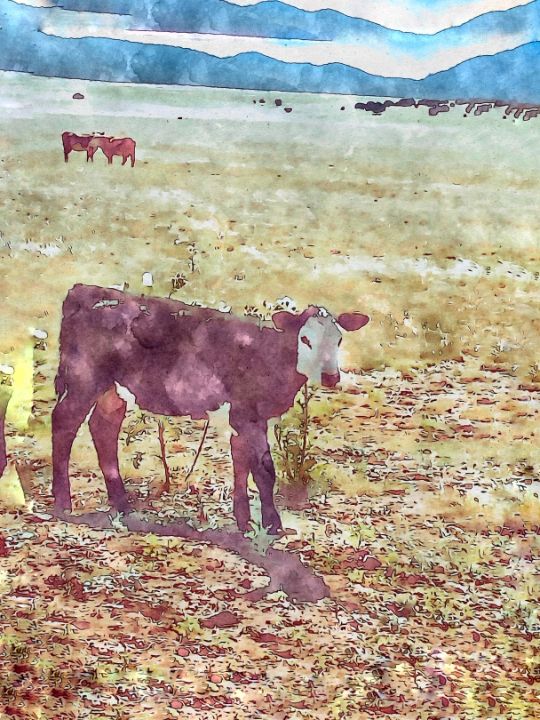 Calf - Art By Jennifer Spettigue Thomas - Paintings & Prints, Animals ...