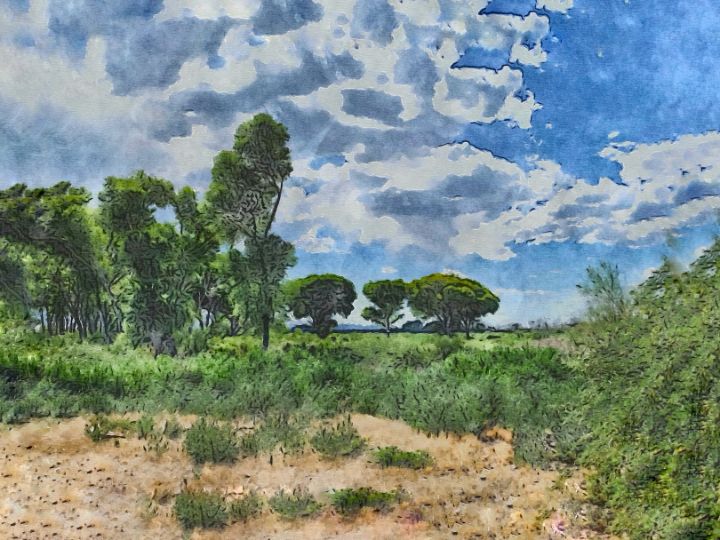 Summer Afternoon - Art By Jennifer Thomas Spettigue - Paintings ...