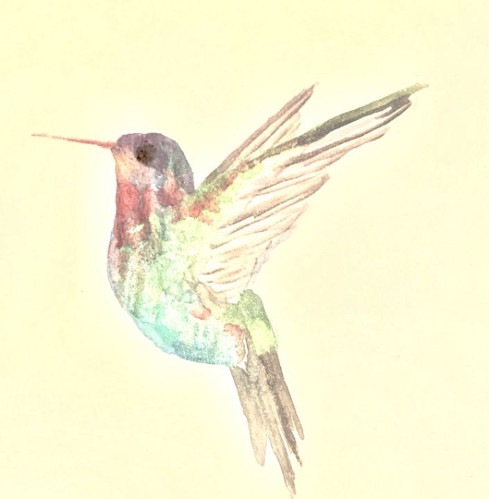 Hummingbird - Art By Jennifer Thomas Spettigue - Paintings & Prints ...