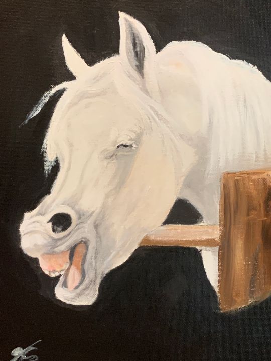 Smile For The Camera - Art By Jennifer Thomas Spettigue - Paintings ...