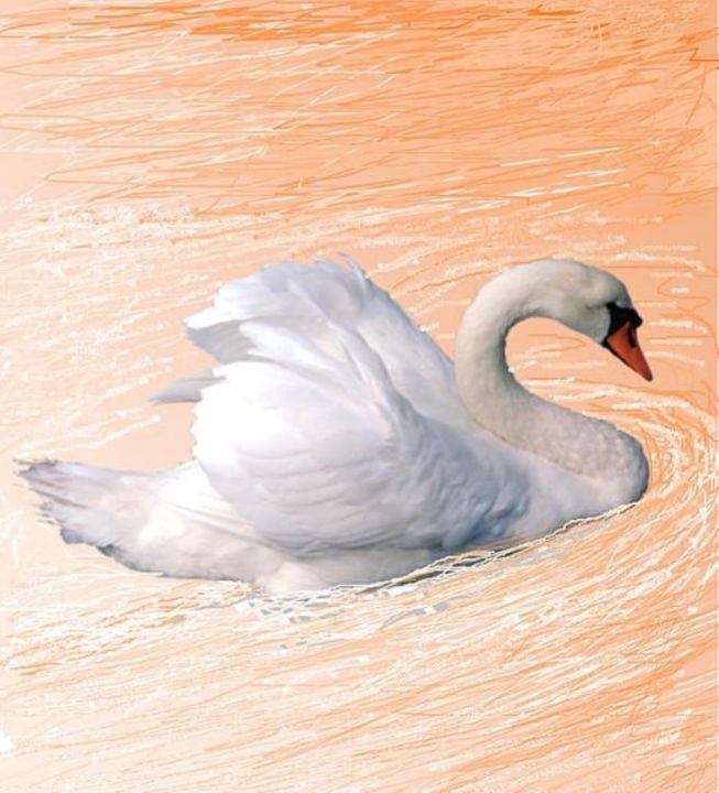 Swan - Art By Jennifer Thomas Spettigue - Paintings & Prints, Animals ...
