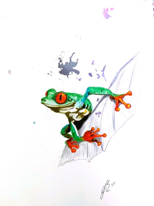 Funny Tree Frog - Art By Jennifer Thomas Spettigue - Paintings & Prints ...