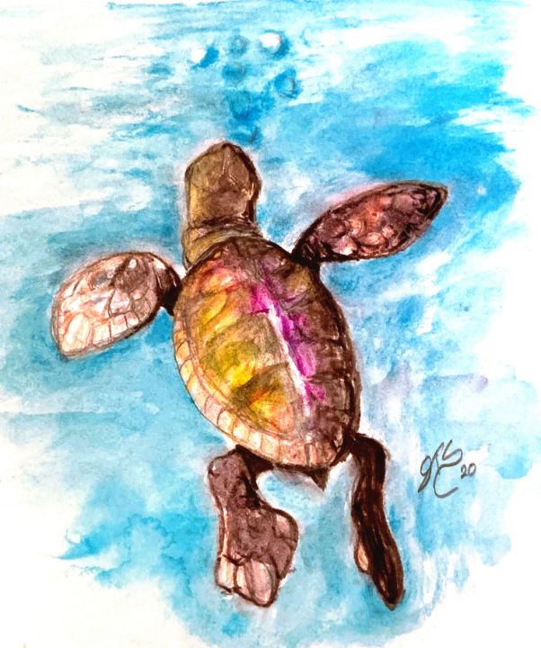 Baby Turtle - Art By Jennifer Thomas Spettigue - Paintings & Prints ...