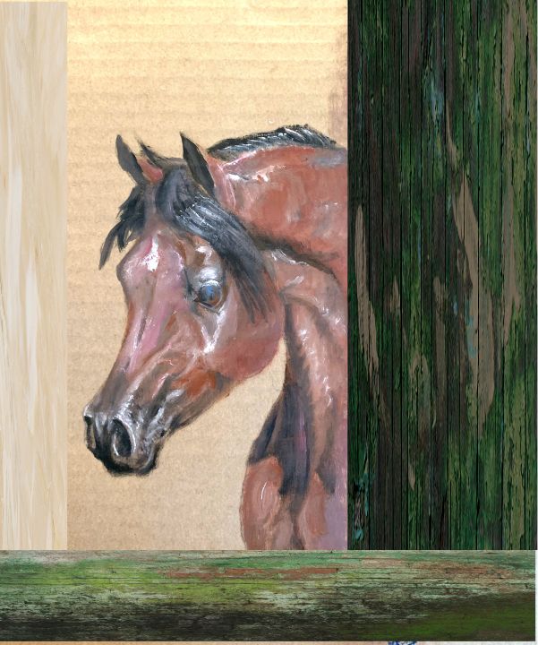 Idalia - Art By Jennifer Thomas Spettigue - Paintings & Prints, Animals ...