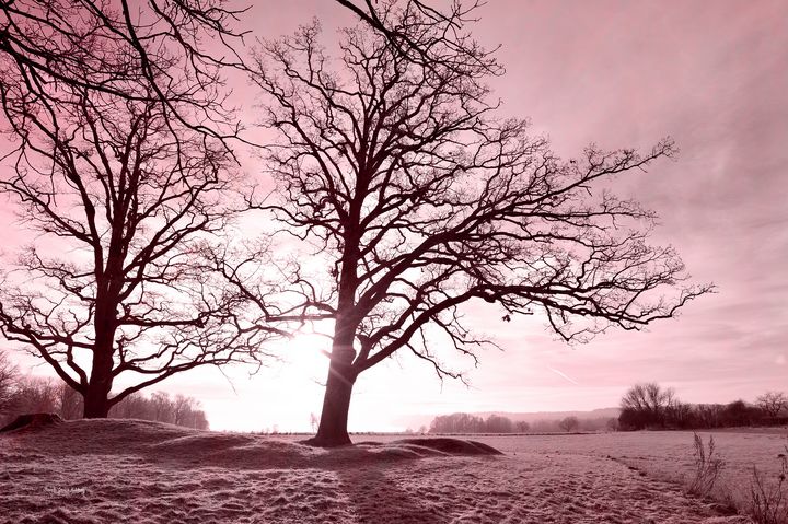 Meeting the Sun - Graceful - Photography, Landscapes & Nature, Seasons ...