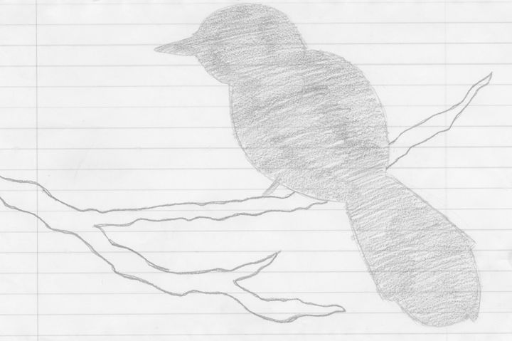 Perfect Perch - KCooley - Drawings & Illustration, Animals, Birds ...