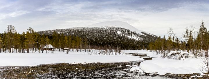 Timothy Skinner Photographer - Photography