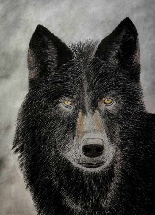 Alpha wolf - Steve Keller - Drawings & Illustration, Animals, Birds ...
