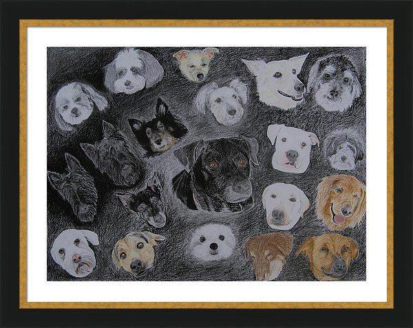 Doggie Hood - Steve Keller - Drawings & Illustration, Animals, Birds ...