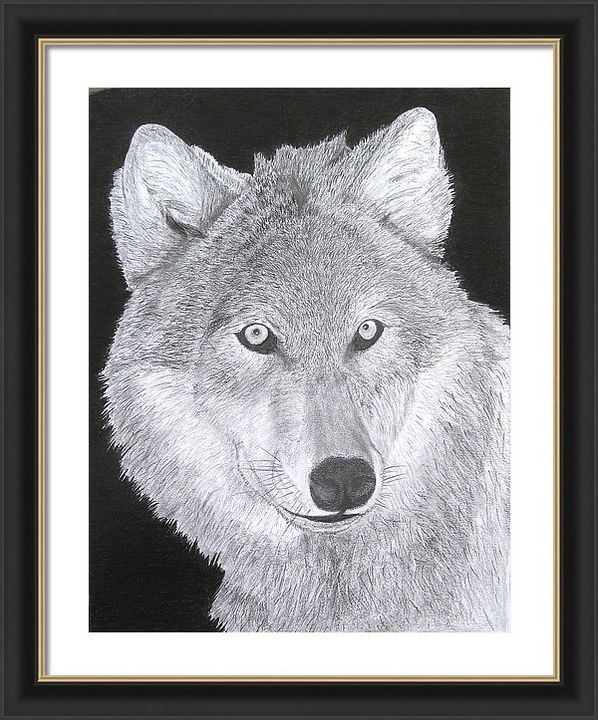 Wolf - Steve Keller - Drawings & Illustration, Animals, Birds, & Fish ...