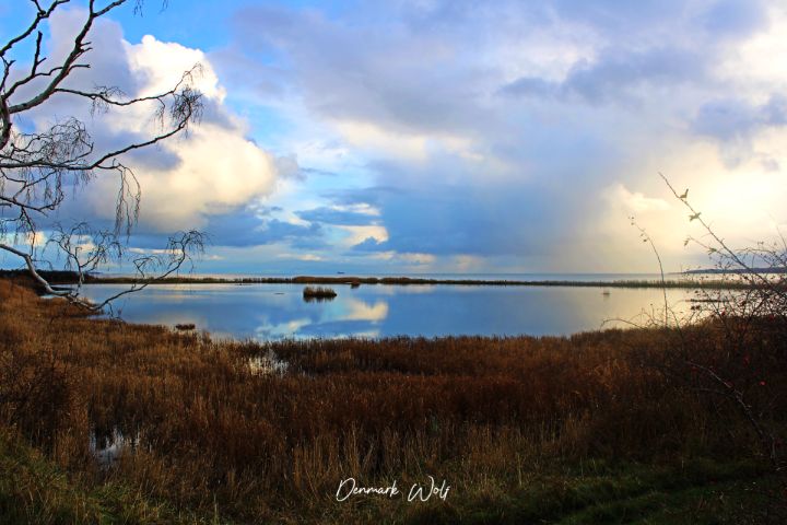 DENMARK WOLF - Photography