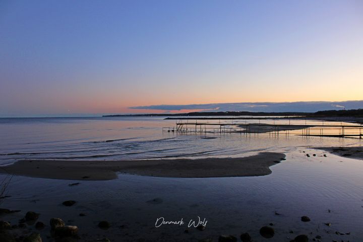 DENMARK WOLF - Photography