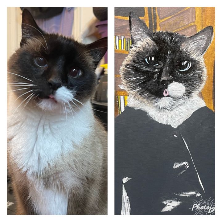 Bruce Wayne - a.k.a. BatCat - Kim’s Creative Pets - Paintings & Prints ...