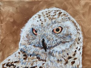 Scott Sager - Paintings & Prints