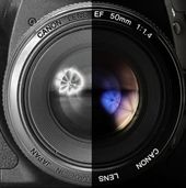 Two Face Photography - Photography